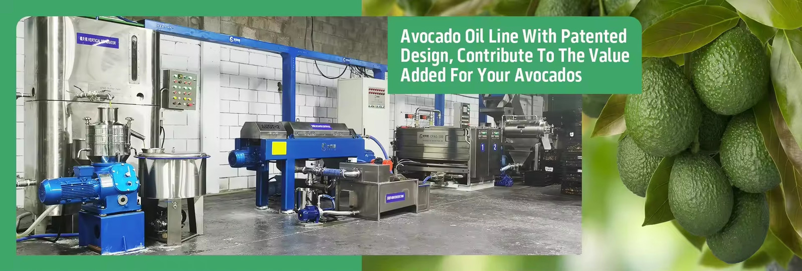 Quality Avocado Oil Machine & Avocado Oil Extraction Line factory from China
